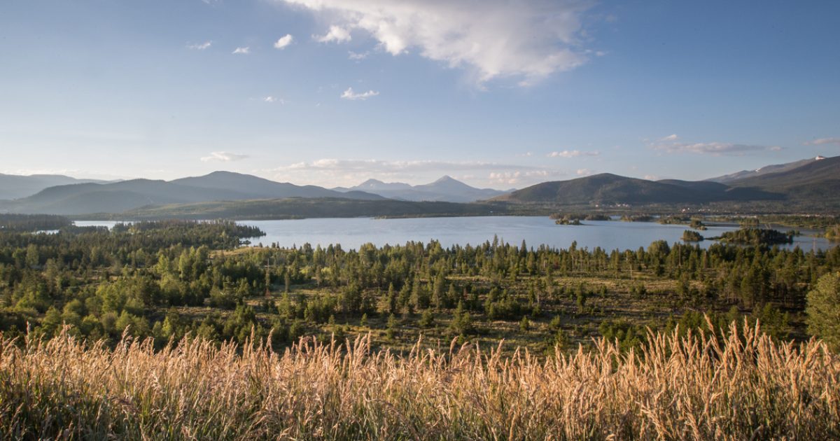 The Summit Foundation | Apply for a Grant